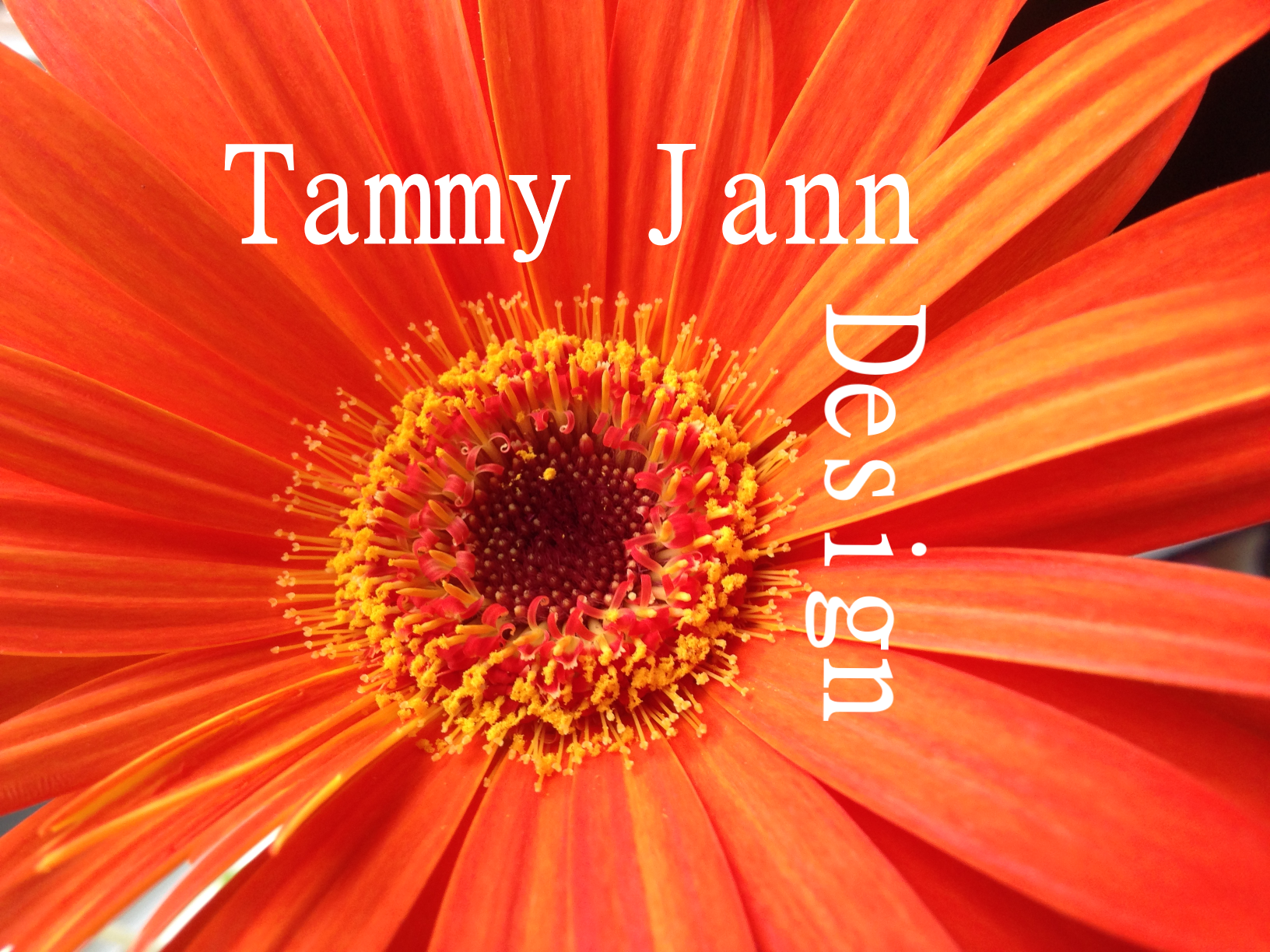MERCHANDISE – Tammy Jann